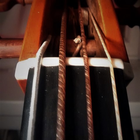 Gregory R. Hamilton: “The origins of solo cello literature and ...